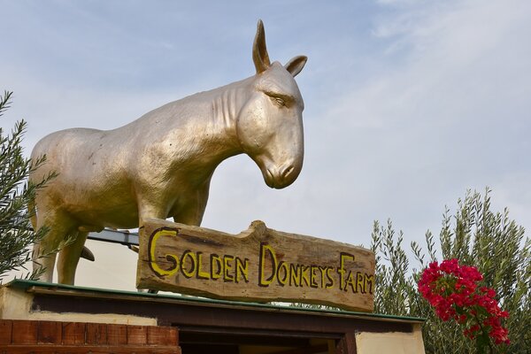Не пропустите семейный праздник в ослиной ферме Golden Donkeys ...